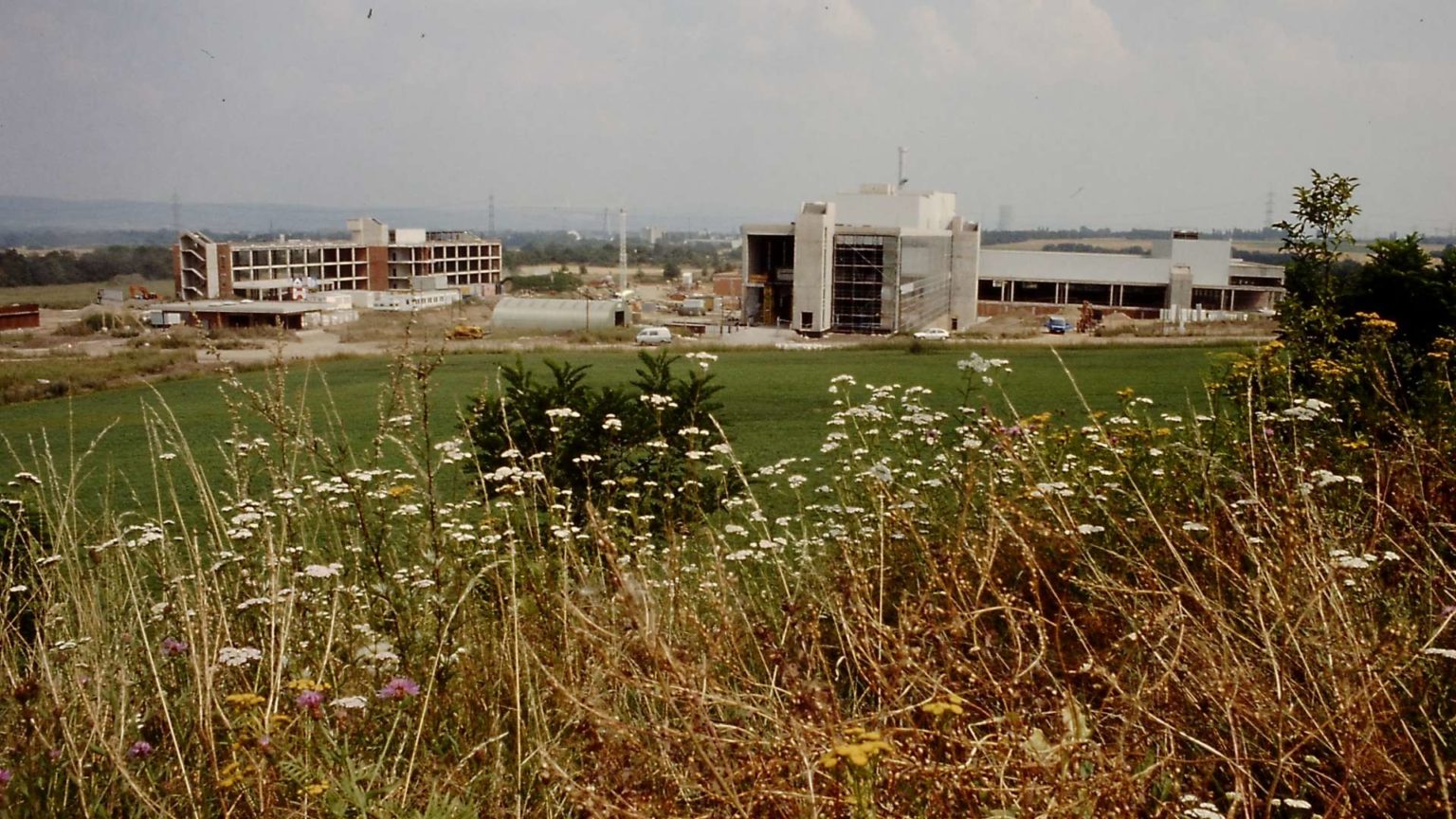 2019 - A very exceptional year for LTS | Durch die Haut